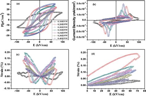 A Polarization Electrical Field P E Hysteresis Loops For Xbnw 1 À Download Scientific