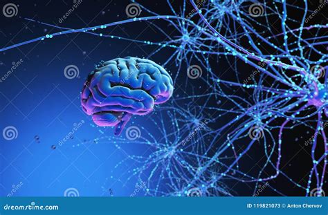 3d Human Brain Stock Image Image Of Energy Macro Microbiology