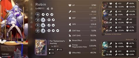 My Current Robin Build R Robinmains Hsr