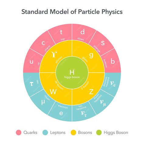 Premium Vector Standard Model Of Particle Physics Vector Illustration Chart
