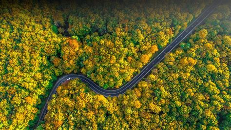 Pythons Techniques In Linear Optimization By Svitla Systems