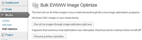 optimize wordpress pictures with e image optimizer async js and css and autoptimize for