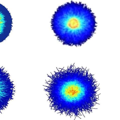 Comparison Between Numerical Simulations Left Column And Experiments