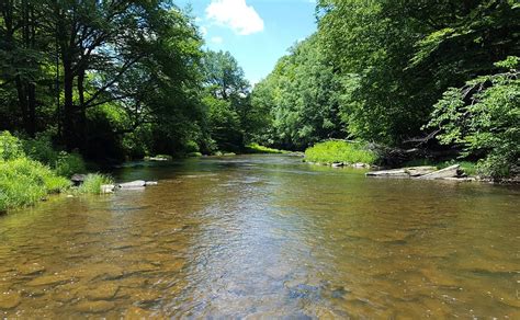 Stream Classification Whats That