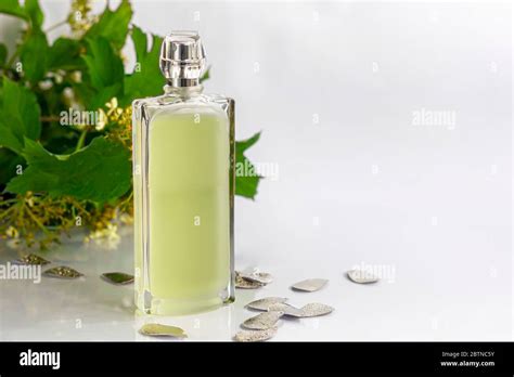 Bottle With Male Cologne Surrounded By Brilliant Objects And Green