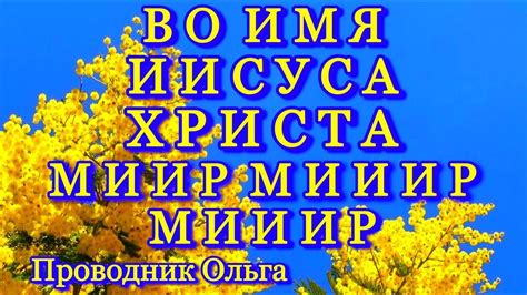 ВО ИМЯ ИИСУСА ХРИСТА МИИР МИИР МИИИР ⚡️ Novoe Probujdene Chelovchestva Youtube