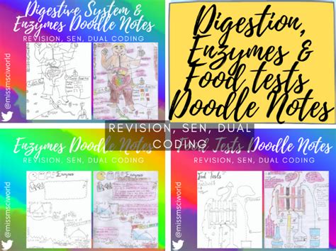 Digestion Enzymes And Food Tests Science Doodle Notes Teaching