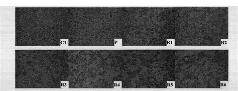 Application Of Recombinant Ganoderma Lucidum Immunoregulatory Protein In The Preparation Of