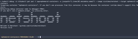 Kubernetes Ephemeral Containers Debugging On The Fly