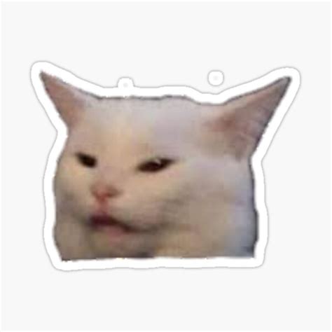 Cat Meme Stickers Funny Cat Stickers Sticker For Sale By