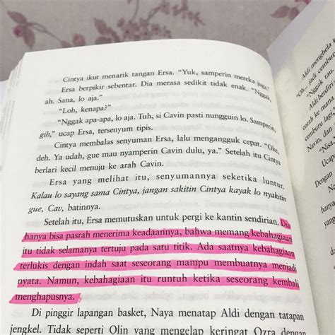 Novel