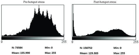 El Images Grayscale Histogram For The Lowermost Substring Of The