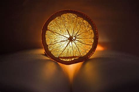 Aleksander Nitkin On Linkedin Photo Orange Dark Foodphotography