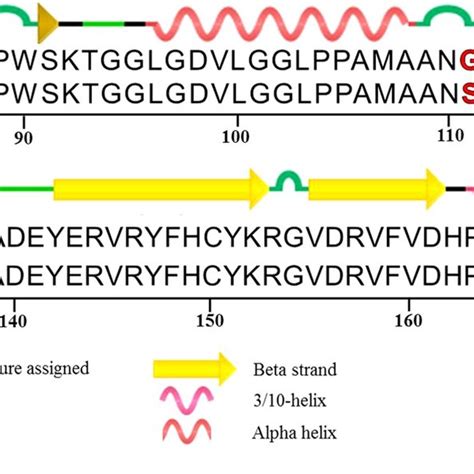 Protein Sequence Alignment And Structural Analysis Numbers Show Download Scientific Diagram