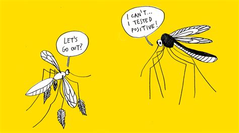 Yellow Fever New Vaccine Against Tropical Disease Yellow Fever To Be