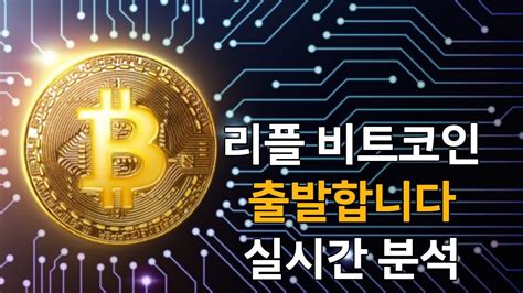 리플 비트코인 실시간 업비트 코인 불장 시작 Youtube