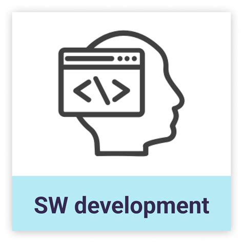Sw Development Testing