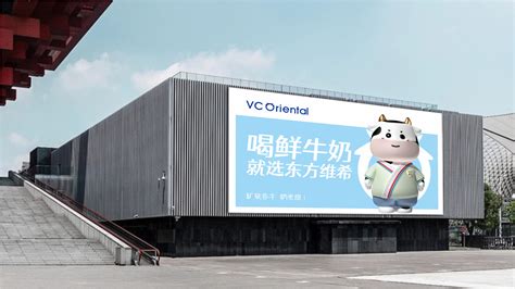 东方维希IP设计 东莞 SIVIBRAND 视维品牌策划设计 品牌策划营销策划VI设计SI设计设计公司