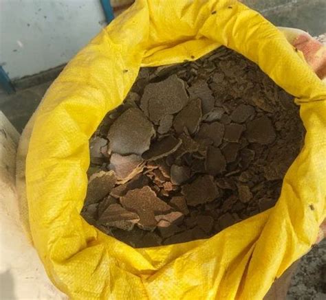 Mustard Cake Cattle Feed Bag 25 Kg At Best Price In Greater Noida Id 2852840286433