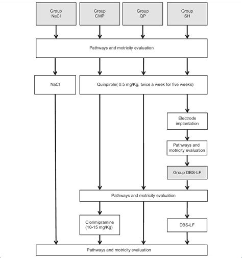 Deep Brain Stimulation Of The Orbitofrontal Cortex Reduces