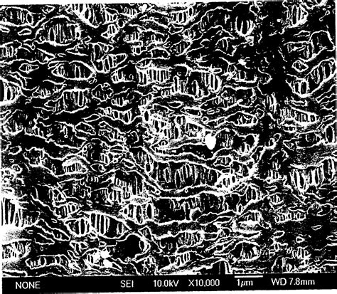 Polyolefine Multiple Micoporous Film And Preparing Process Thereof Eureka Patsnap