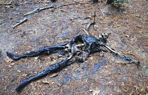 5050 A Decomposing Body In The Woodsnsfw A Broken Bikesfw R