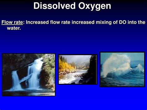 Ppt Dissolved Oxygen Powerpoint Presentation Free Download Id 6696416