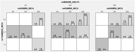 The Best Three Locus Multifactor Dimensionality Reduction Mdr Model