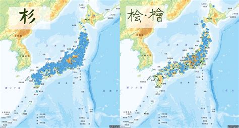 治田 洗礫 on Twitter 今年も飛び始めたスギ花粉スギ 花粉症 の人はヒノキの花粉にも感作されていることが多く特に西日本では