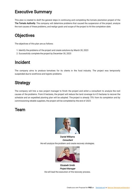 Project Recovery Plan Template