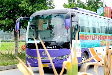 大湾区游客打卡黔东南 助推榕江文旅搭上快车道 旅游 少数民族 政策