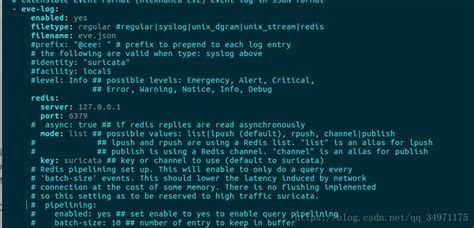 suricata 学习使用 suricata redis csdn博客