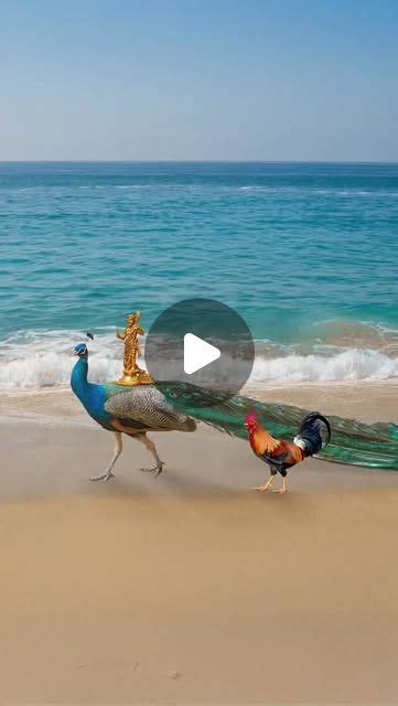 Rames Harikrishnasamy On Instagram When Mayil And Seval Became The