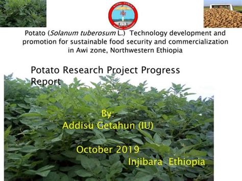 Agt Project Powerpoint Pptx