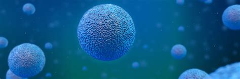 Order Fulfilment Efficient And Reliable Logistics Biostór Ireland