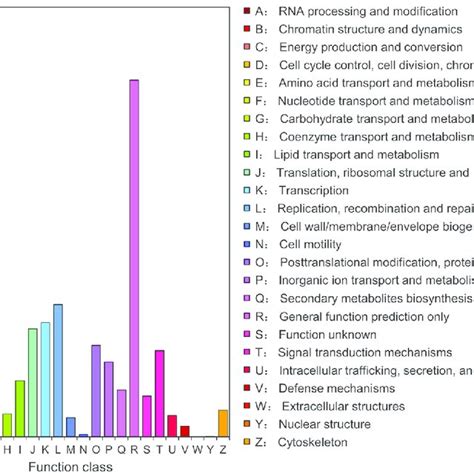 Clusters Of Orthologous Group Cog Function Classification Of Download Scientific Diagram
