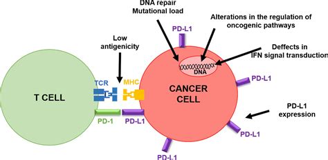 Exacerbation Of Copd Nursing Diagnosis