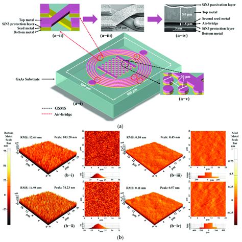 A Detailed Information Of Proposed Bpf A I 3d Structure Of The Download Scientific Diagram