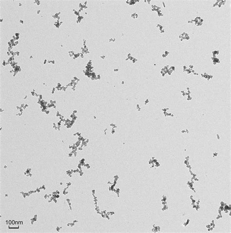 prim s algorithm semantic scholar