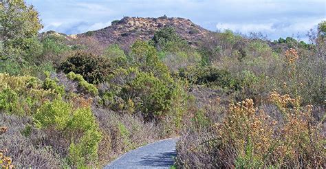 San Elijo Lagoon Ecological Reserve And Nature Center
