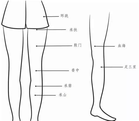 大腿各个位置图 大腿后侧 伤感说说吧