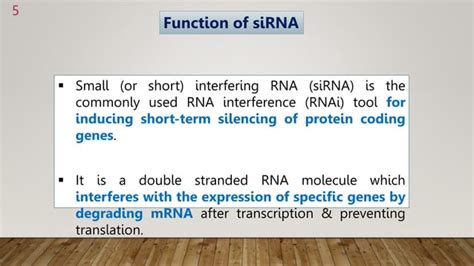 SiRNA MiRNA Pptx Programming Languages Computing