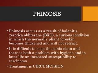 Phimosis Patient Handout