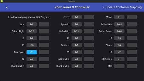 Controller Options Chiaki Ng