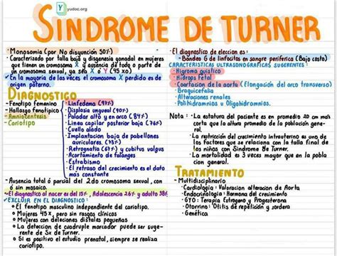 Sindrome De Turner YUDOC ORG UDocz Sindrome De Turner YUDOC ORG UDocz