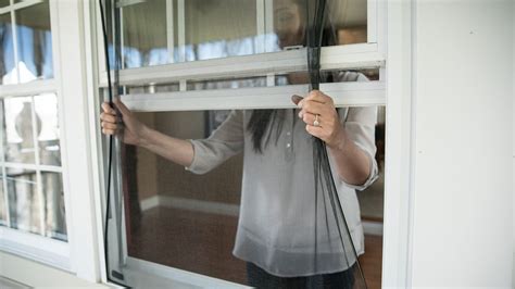 Flexscreen Vector Windows