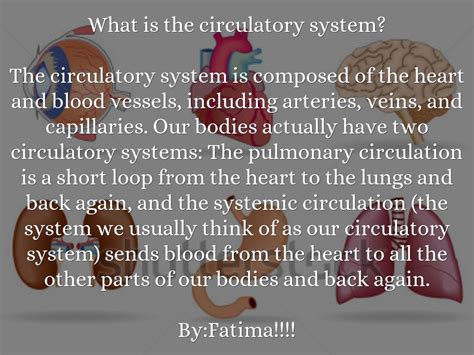 The Circularity System By Qwerty31