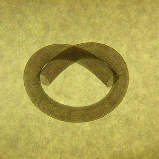 High Resolution Photograph Of A Pipeline Embolization Device PED The Download Scientific