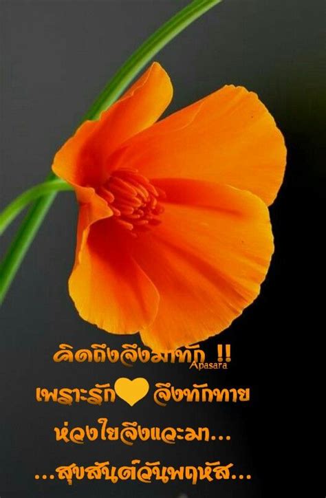 💘ด้วยความคิดถึง และความรักค่ะ คุณจ๋า💘 มีความสุข ภาพถ่ายชายหาด อรุณสวัสดิ์