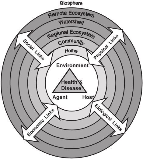 Is An Ecosystem A Nested Hierarchy